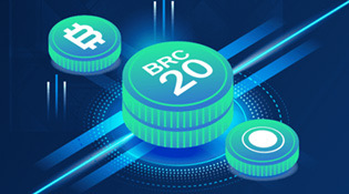 What are BRC-20 Tokens and How to use BRC 20 tokens? | 3.0TV
